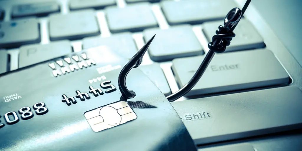 Dont Get Hooked By A Scammer Boomerang Marketing Nonprofit Website